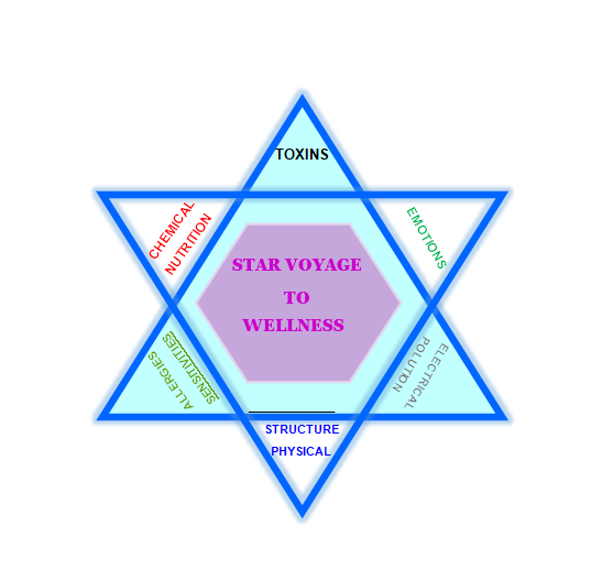 6 Steps to Wellness - Lyte2 Touch Chiropractic and Wellness Center ...